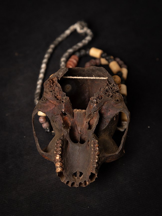 Old Naga necklace with monkey-skull from Burma (Myanmar)