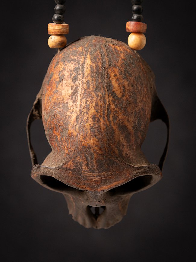 Old Naga necklace with monkey-skull from Burma (Myanmar)